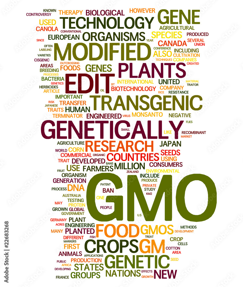 GMO Transgenic Food Stock Illustration | Adobe Stock