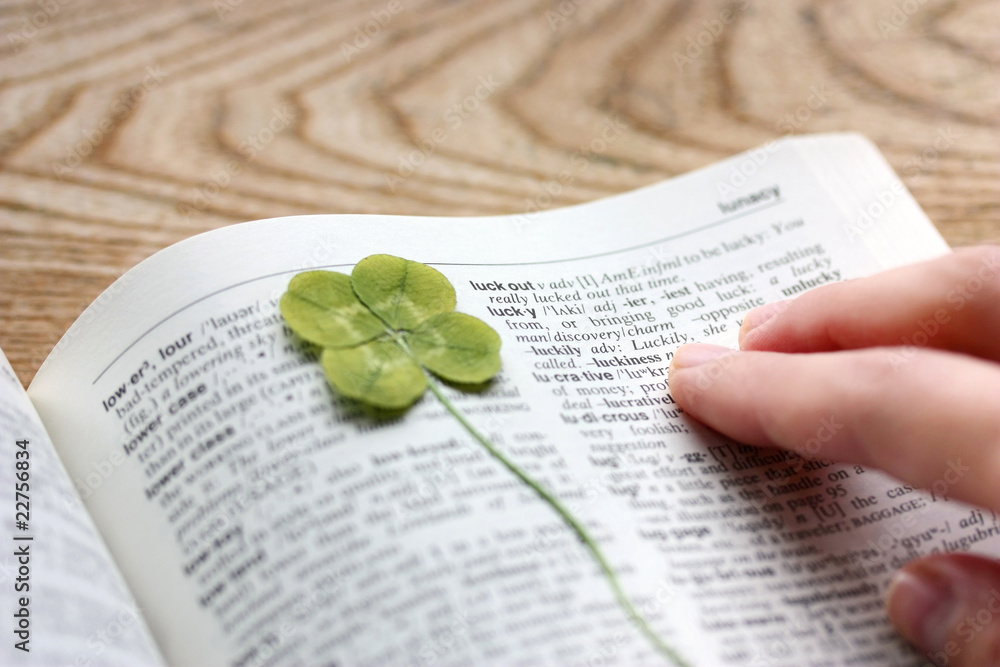 Pressed four-leaf clover in dictionary Stock Photo | Adobe Stock