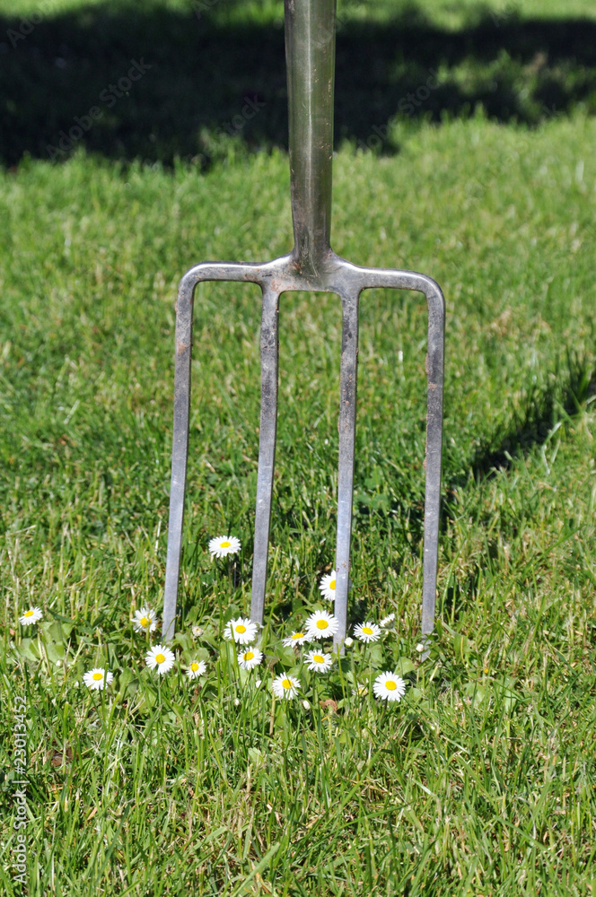 Fourche bêche Stock Photo | Adobe Stock