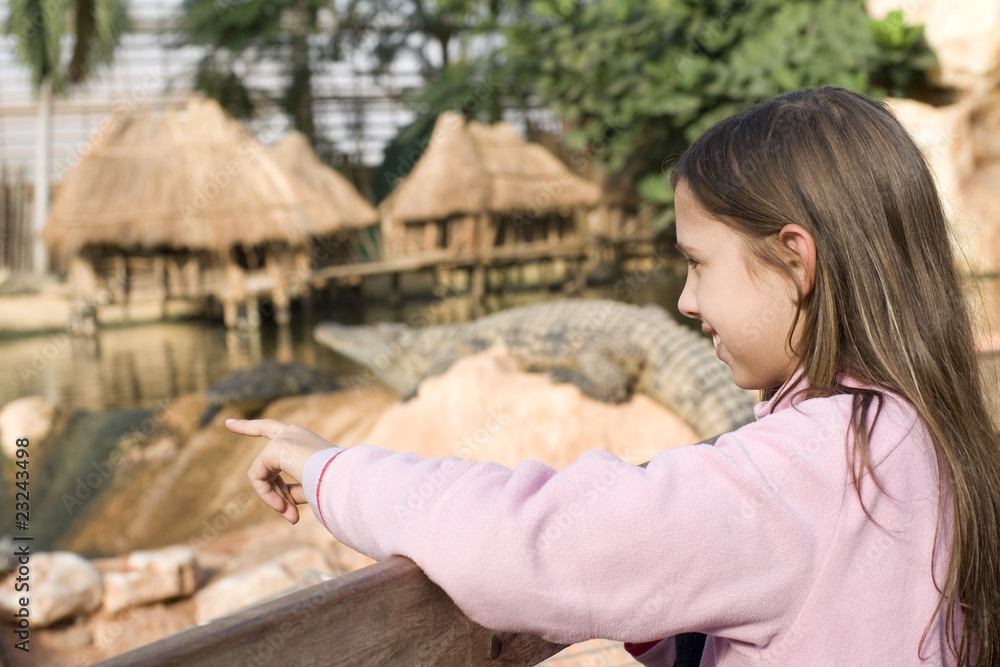jeune adolescente qui regarde les animaux dans un parc Stock Photo ...