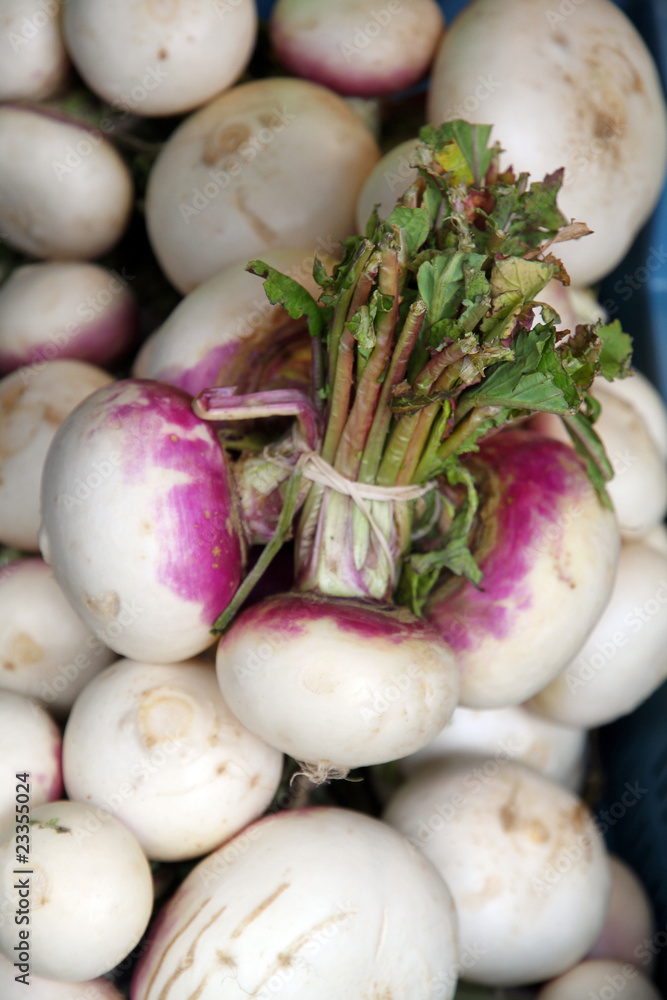 Fruits and vegetables Root vegetable Belgium Stock Photo | Adobe Stock