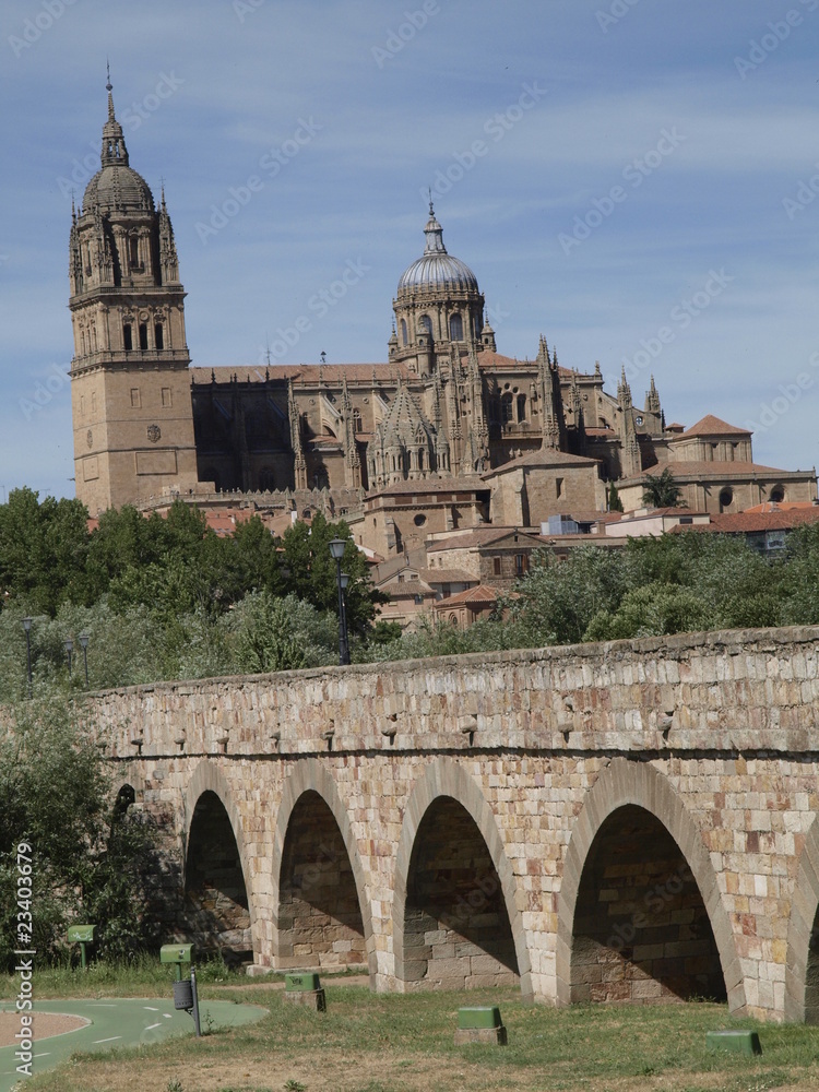 Catedral Nueva de Salamanca desde el puente medieval Stock Photo ...