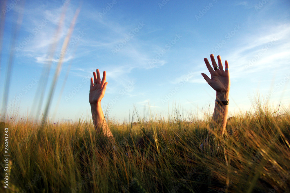 hände hoch Stock Photo | Adobe Stock