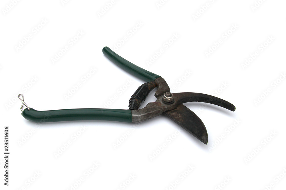Sécateur Photos | Adobe Stock