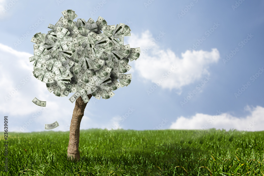 amazing money tree on grass with falling leaves Stock Photo | Adobe Stock