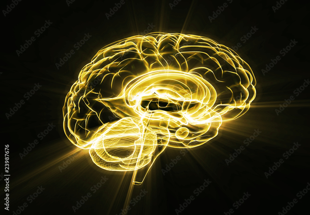Golden brain ilustração do Stock | Adobe Stock
