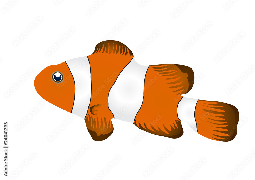 Vector illustration of clownfish isolated Stock Vector | Adobe Stock