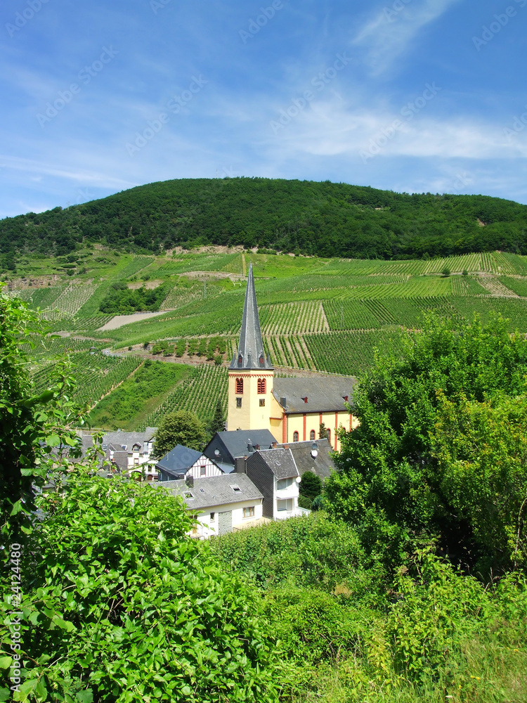 Senheim an der Mosel Stock-Foto | Adobe Stock