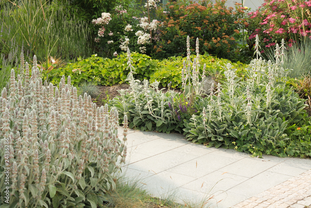 Garten Stock Photo | Adobe Stock