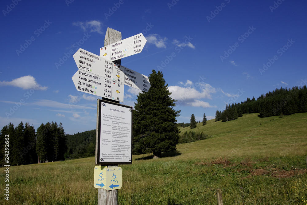 Wegweiser Stock Photo | Adobe Stock