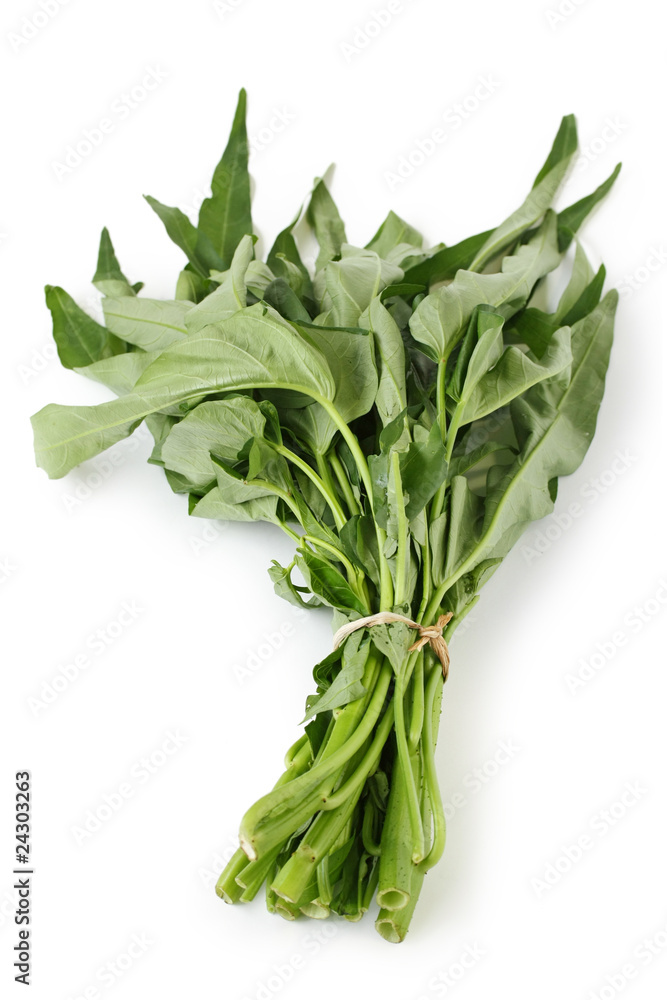 Water Spinach Stock Photo | Adobe Stock