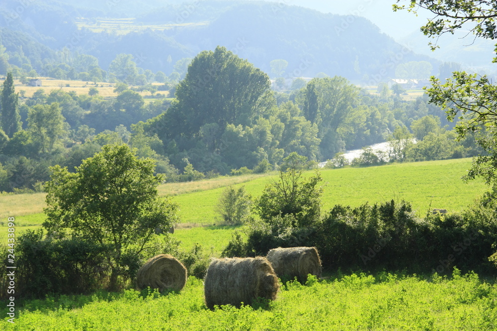 campos verdes, paja y arboles en el Valle del Río Ara, Pirineos Stock ...