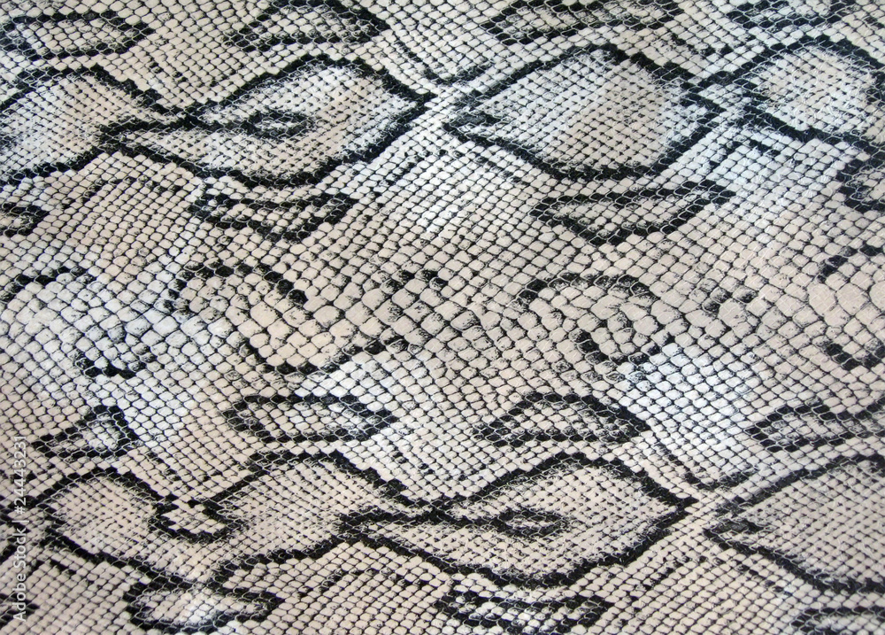 snake closeup texture, danger cobra zigzag concept, natural python ...