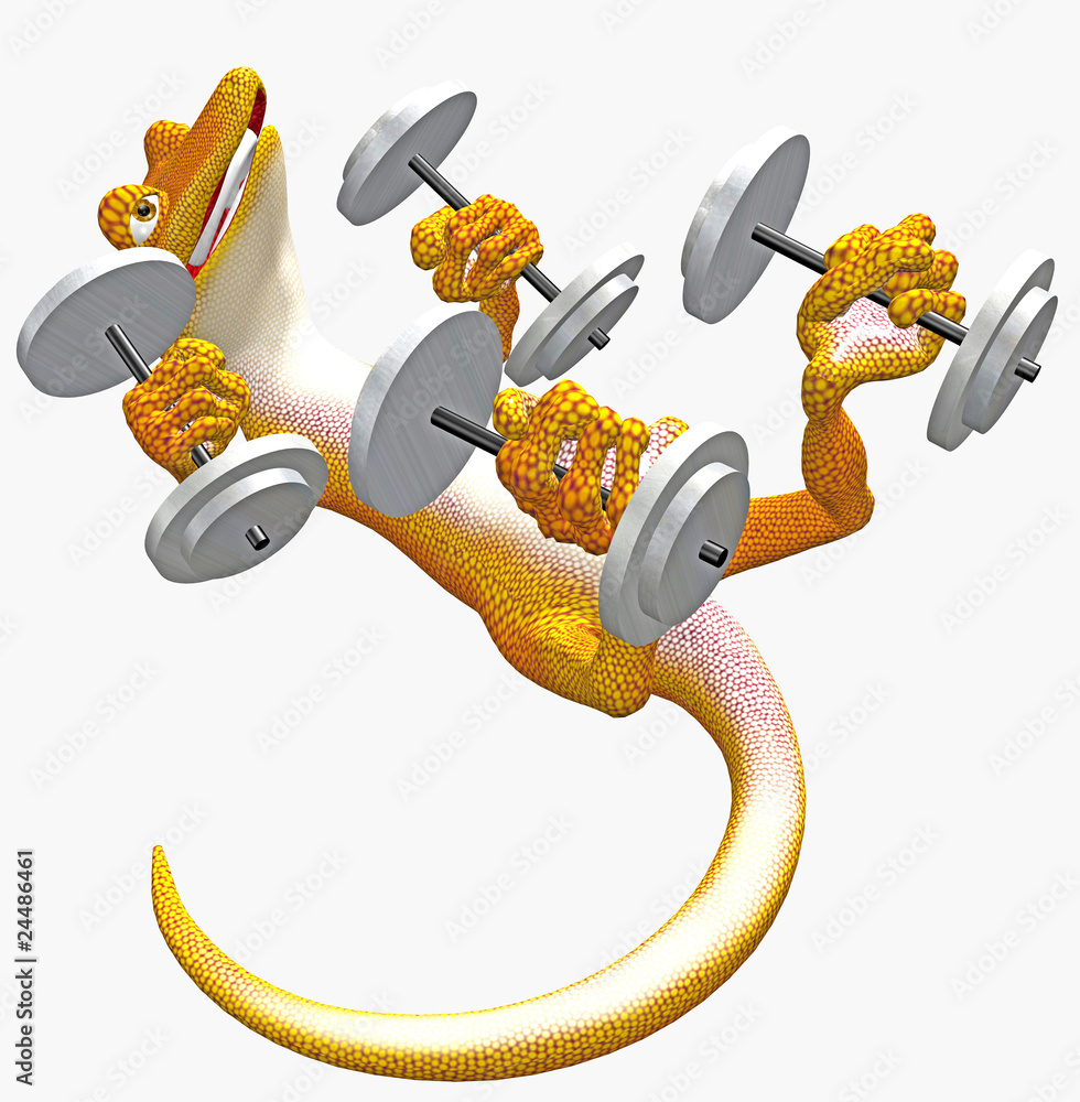 gecko beim bodybuilding ilustración de Stock | Adobe Stock