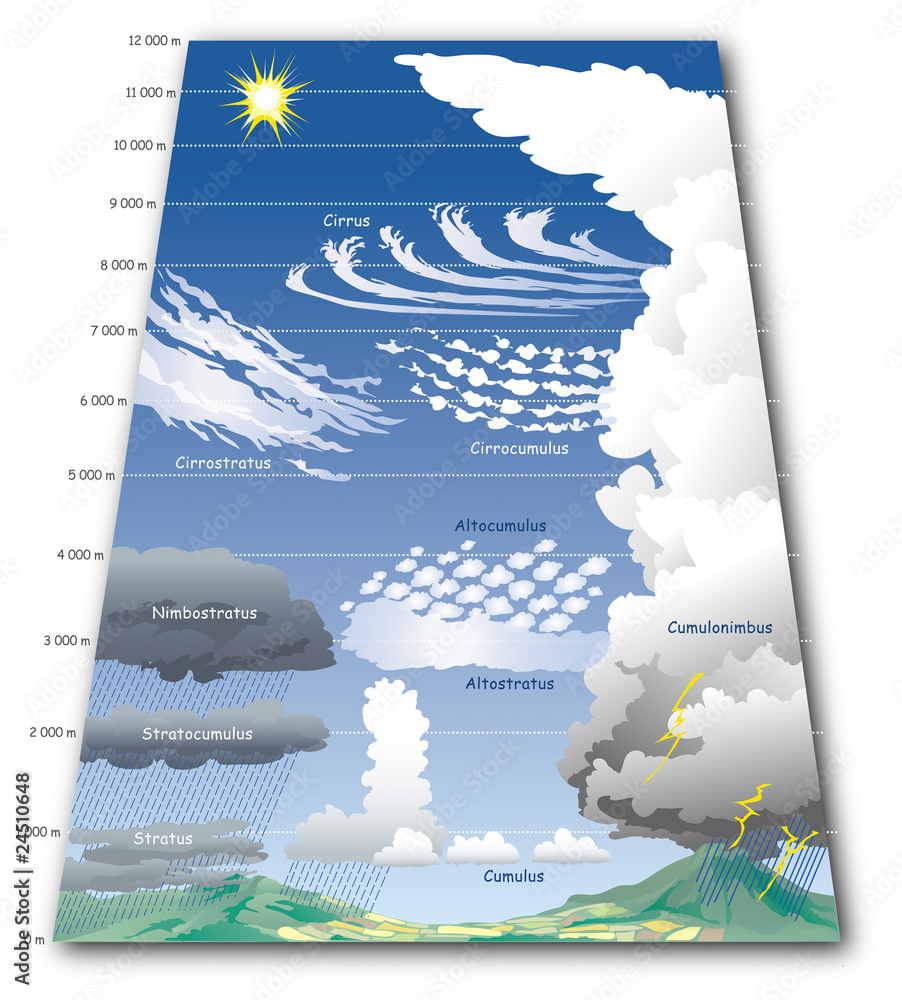Météorologie - Types de nuages Stock Illustration | Adobe Stock