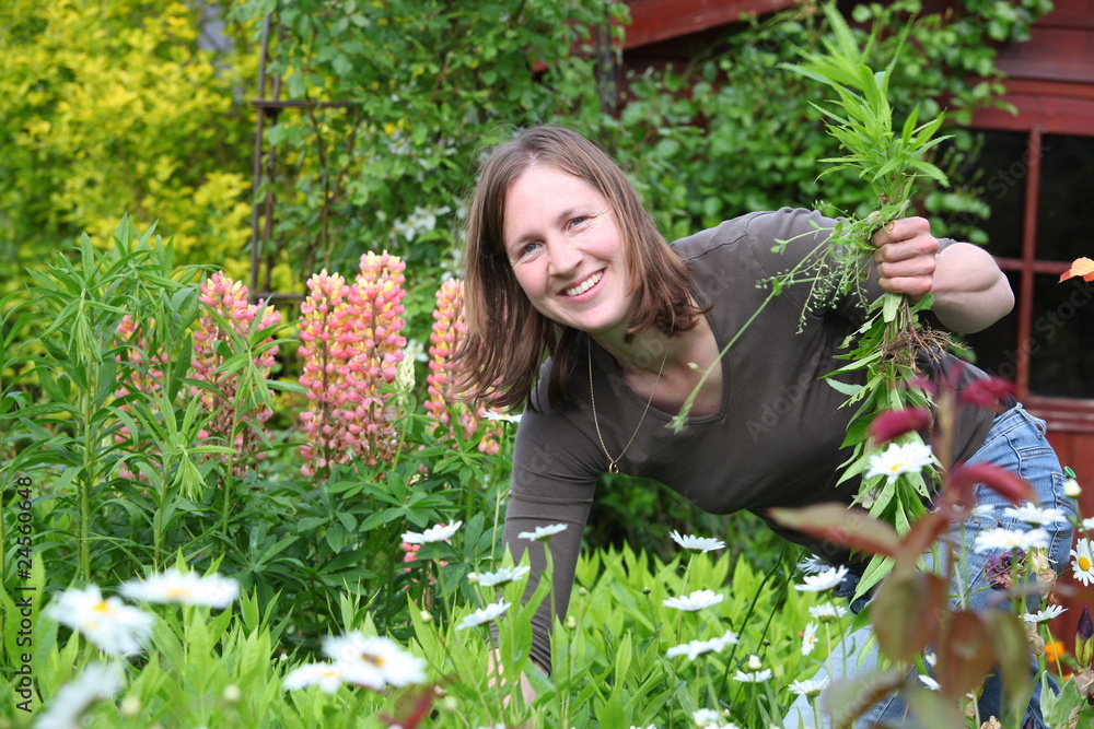 Frau arbeitet im Garten Stock-Foto | Adobe Stock