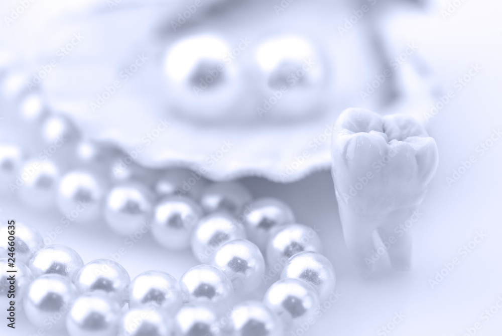 Real human wisdom tooth, natural pearls and shell Stock Photo | Adobe Stock