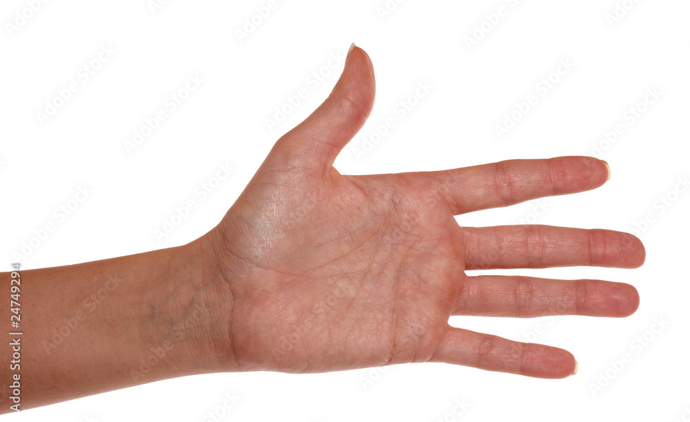 Linke Hand einer Frau Stock-Foto | Adobe Stock