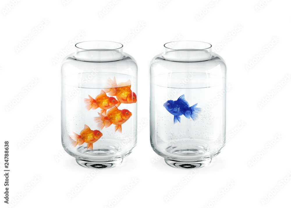 Couple de Poissons Rouges foto de Stock | Adobe Stock