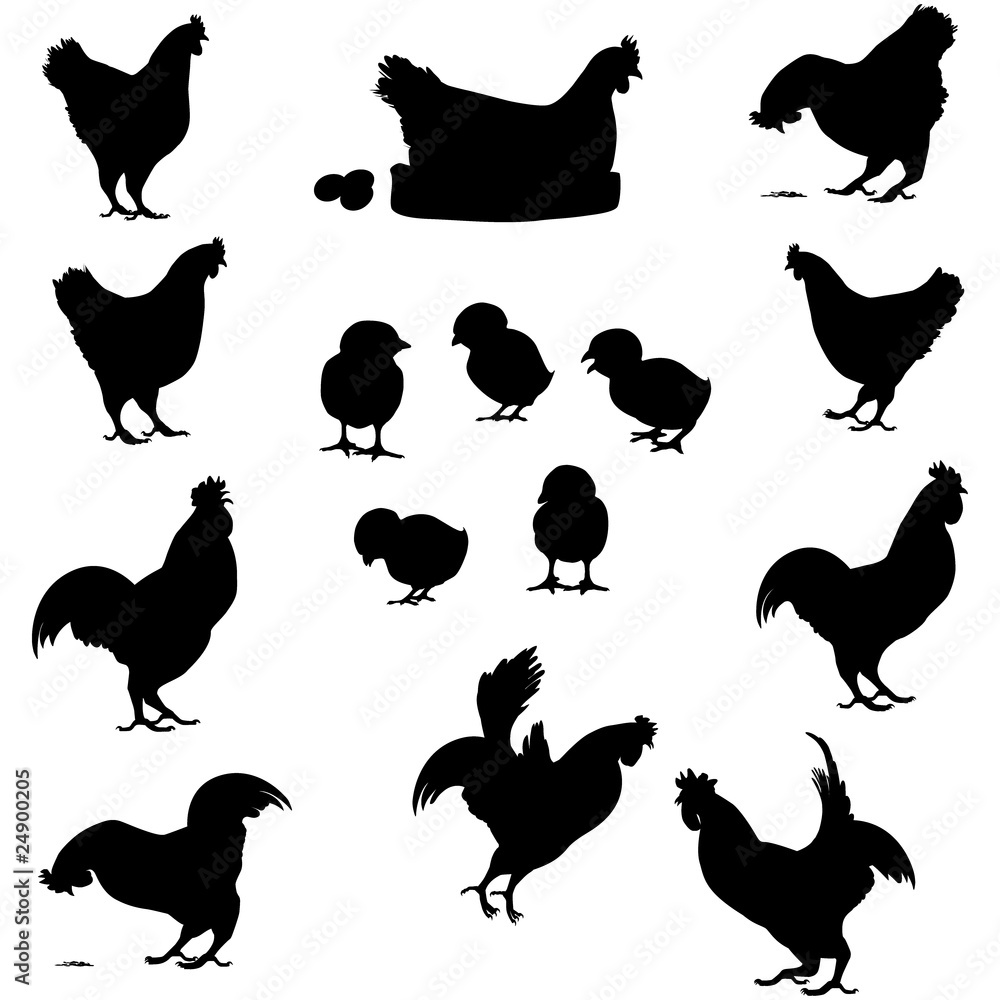 coq poule et poussin silhouette pack Stock Vector | Adobe Stock