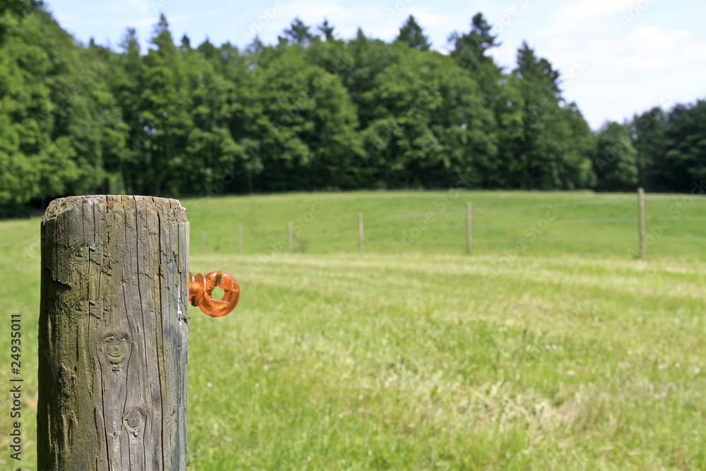 Pfahl mit Öse Stock Photo | Adobe Stock