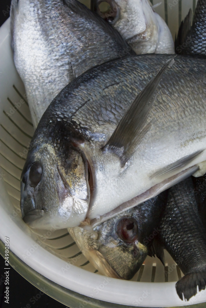 Foto Stock Orata | Adobe Stock