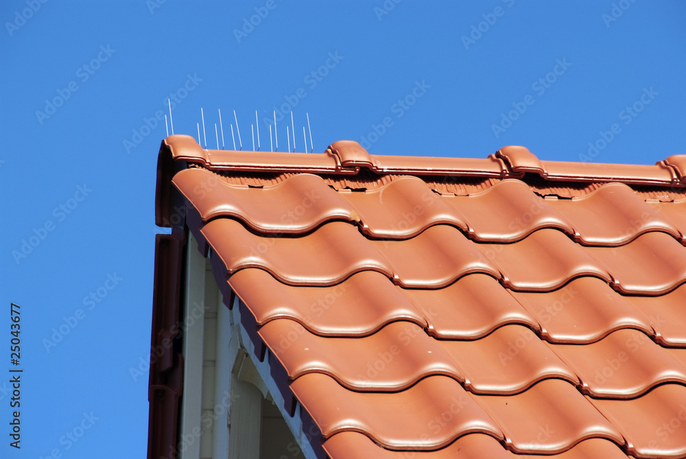 Dachfirst mit Taubenabwehr Stock Photo | Adobe Stock