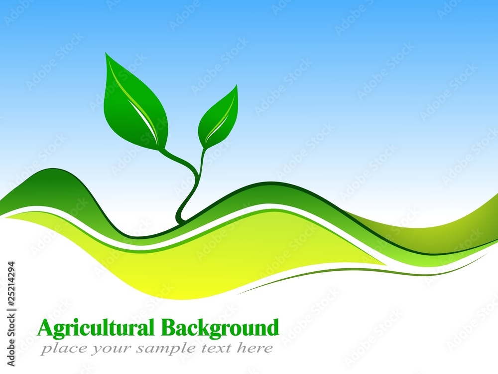 Agricultural Background Stock Vector | Adobe Stock