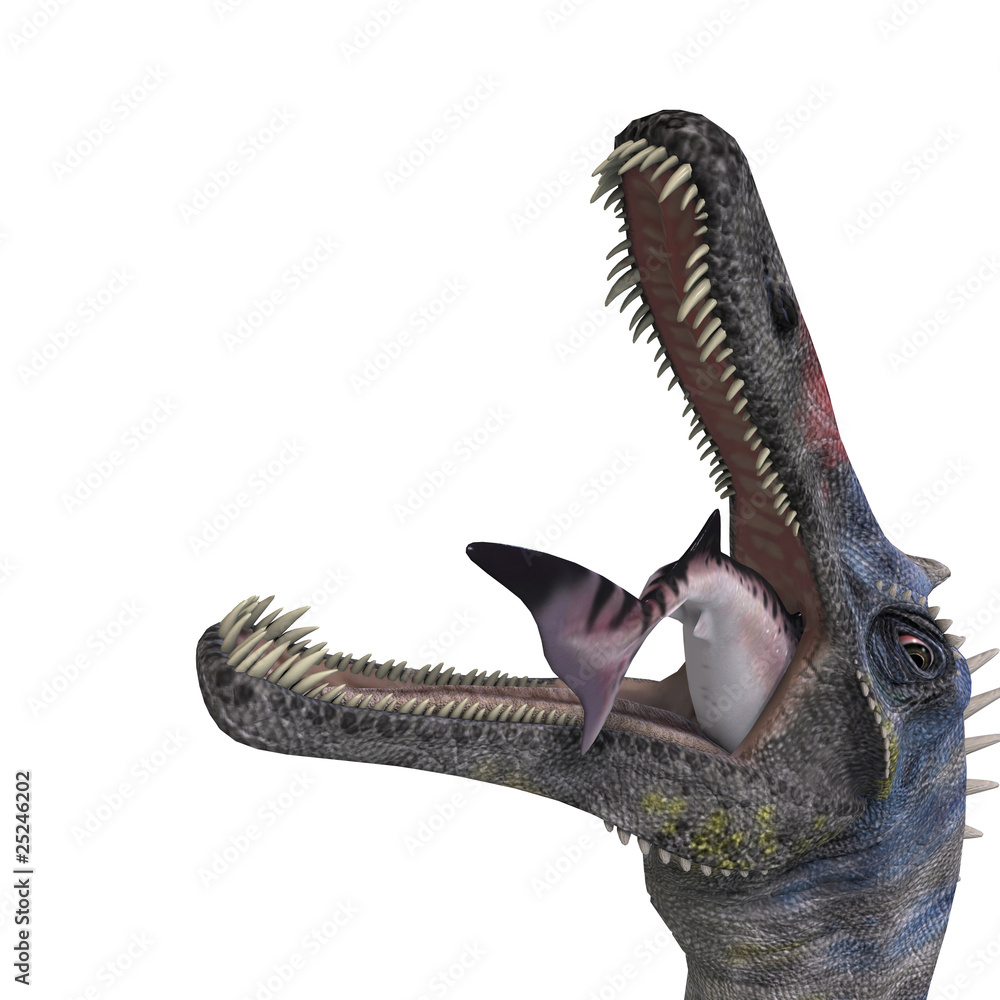 Dinosaur Suchominus. 3D rendering with clipping path and shadow Stock ...