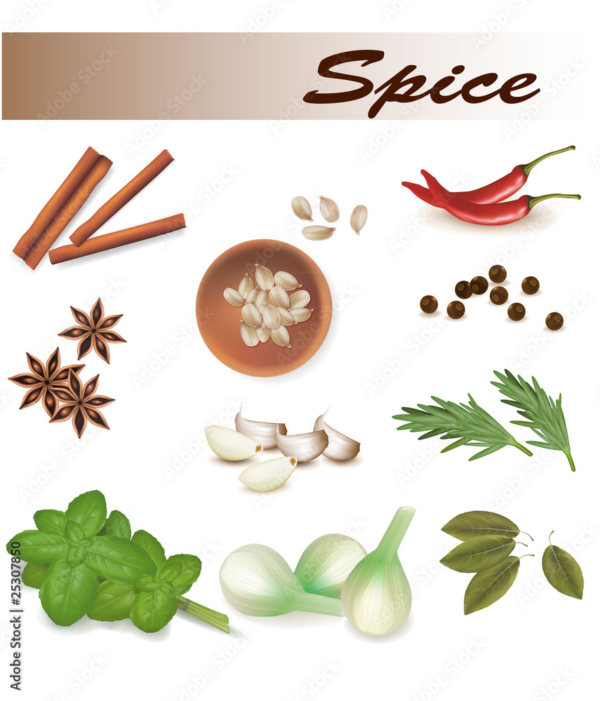 Set of spice. Vector. Stock Vector | Adobe Stock
