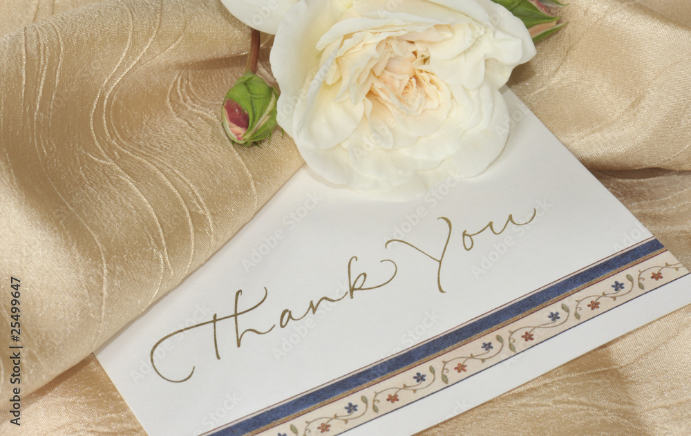 thank you Stock Photo | Adobe Stock