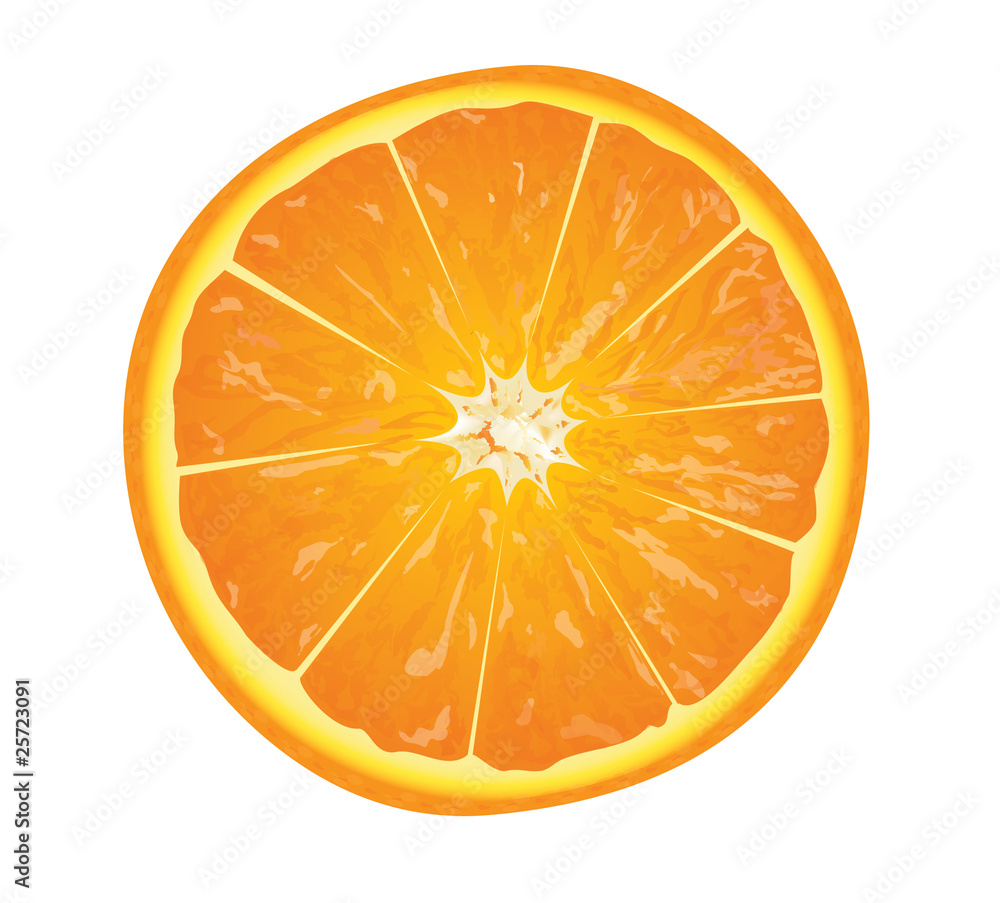 orange slice Stock Vector | Adobe Stock