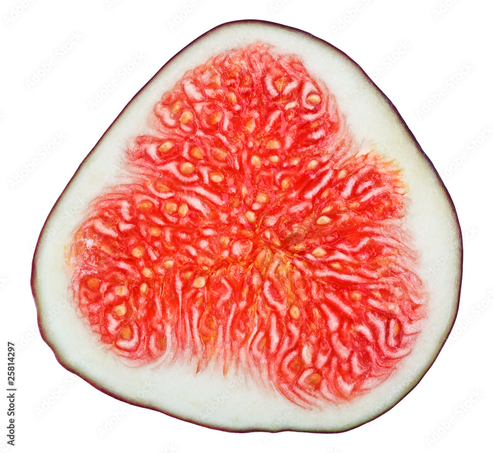 Cross-section of fig tree fruit isolated on white Stock Photo | Adobe Stock
