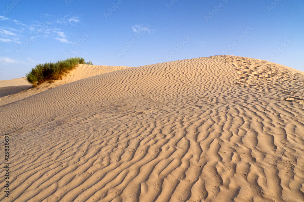 sahara desert Stock Photo | Adobe Stock