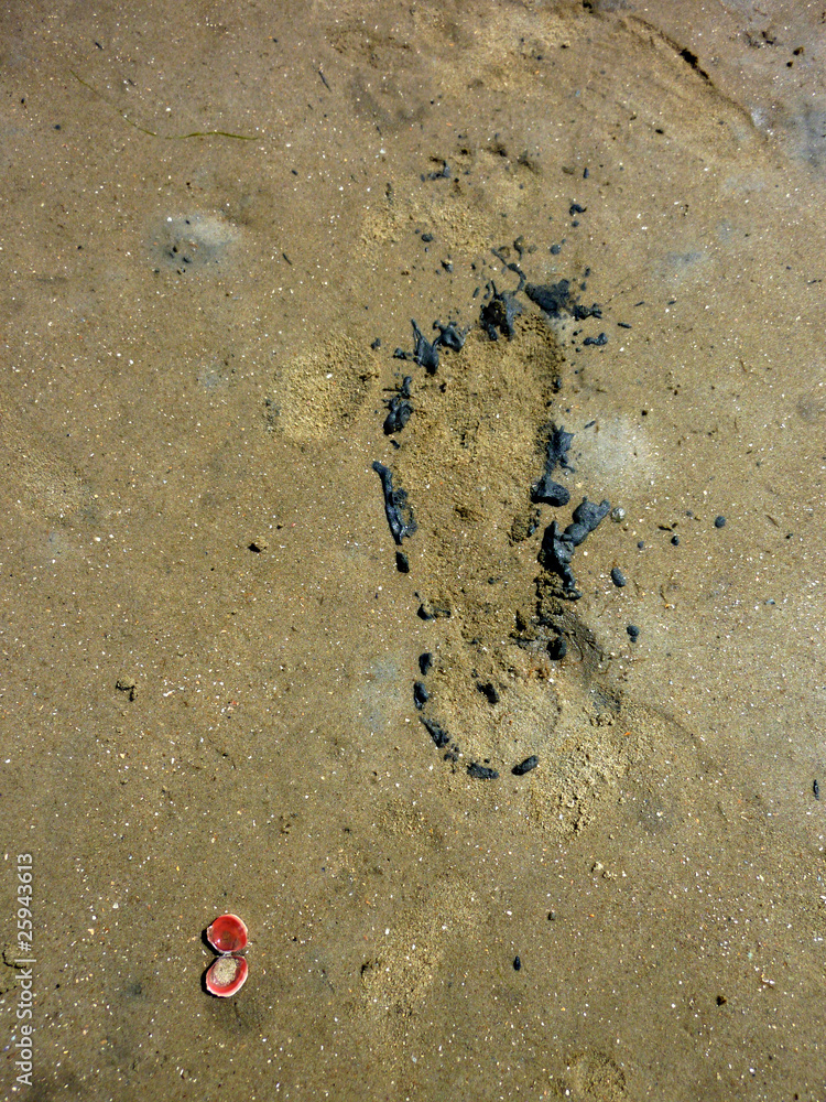 Spur im Sand Stock Photo | Adobe Stock