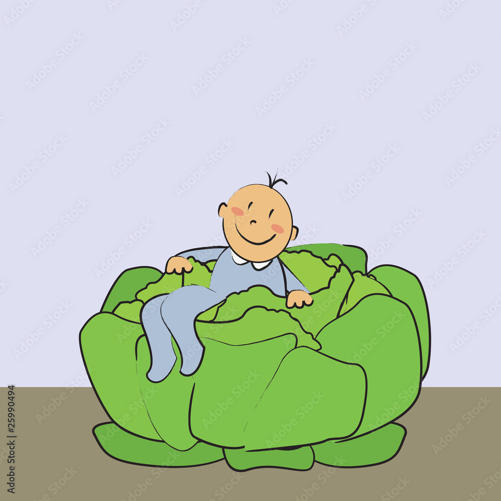 naissance garçon choux Illustration Stock | Adobe Stock
