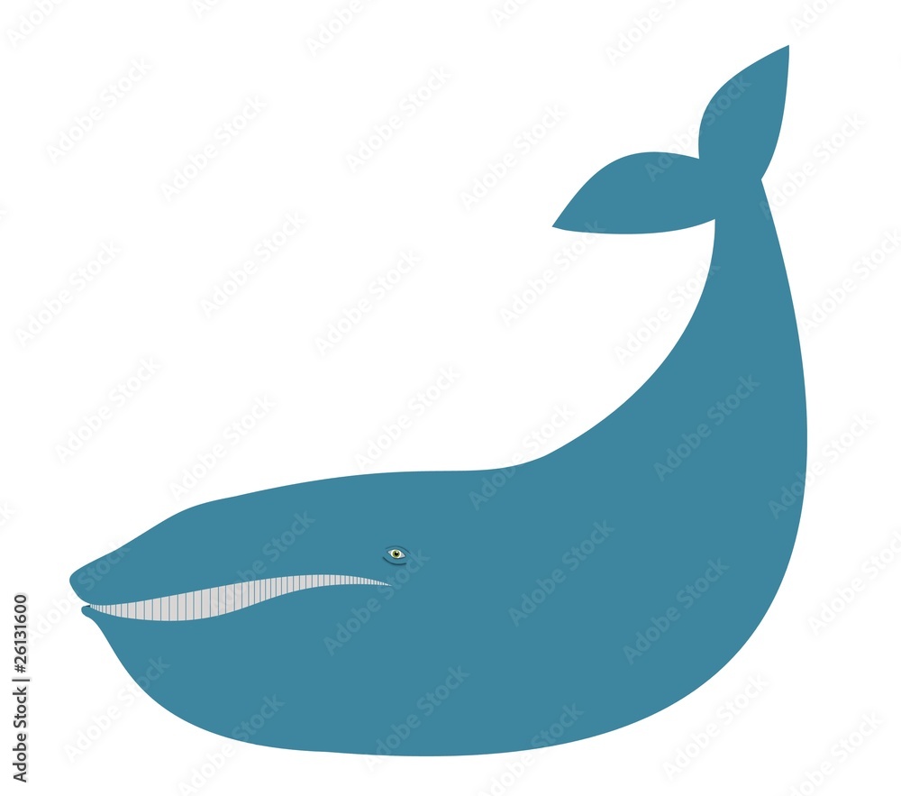 Cartoon Whale Stock Illustration | Adobe Stock