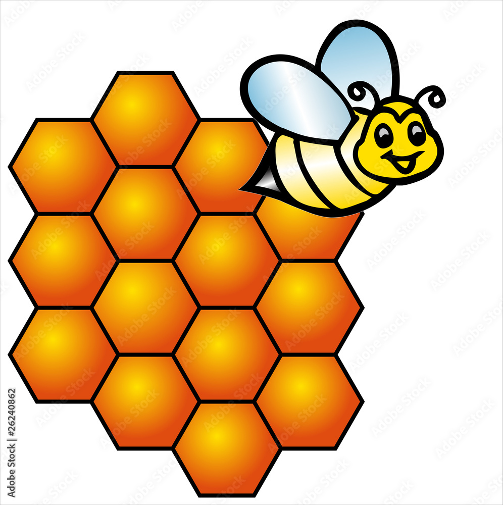 Vector Bee And Honeycombs Stock Vector Adobe Stock