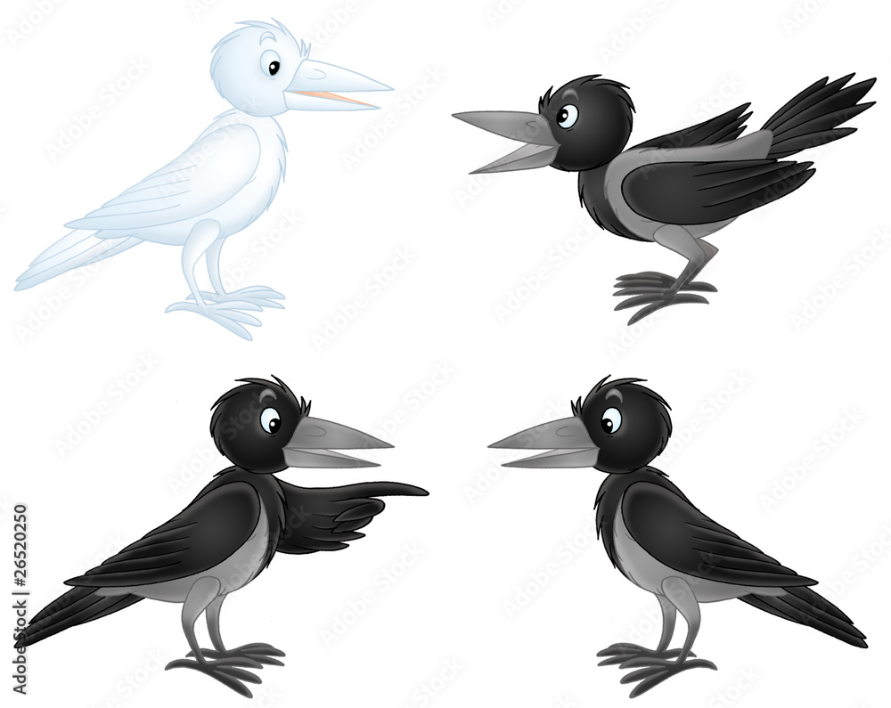 White crow and black crows Stock Illustration | Adobe Stock