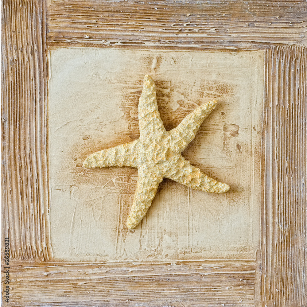 Seestern 3D Motiv gemalt Stock-Foto | Adobe Stock