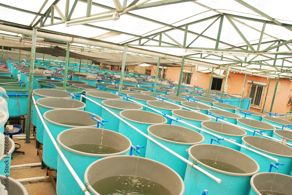 Photo Agriculture aquaculture farm, defun | Posters, tableaux et ...