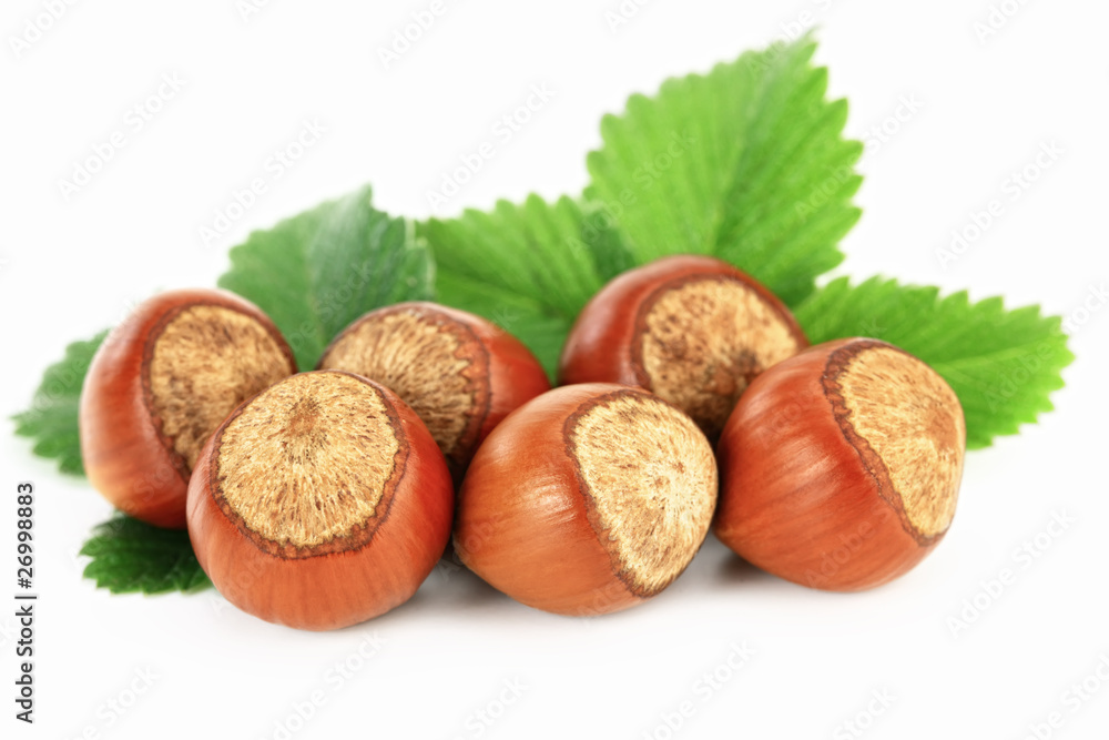 Лесной орех-фундук на белом фоне Stock Photo | Adobe Stock