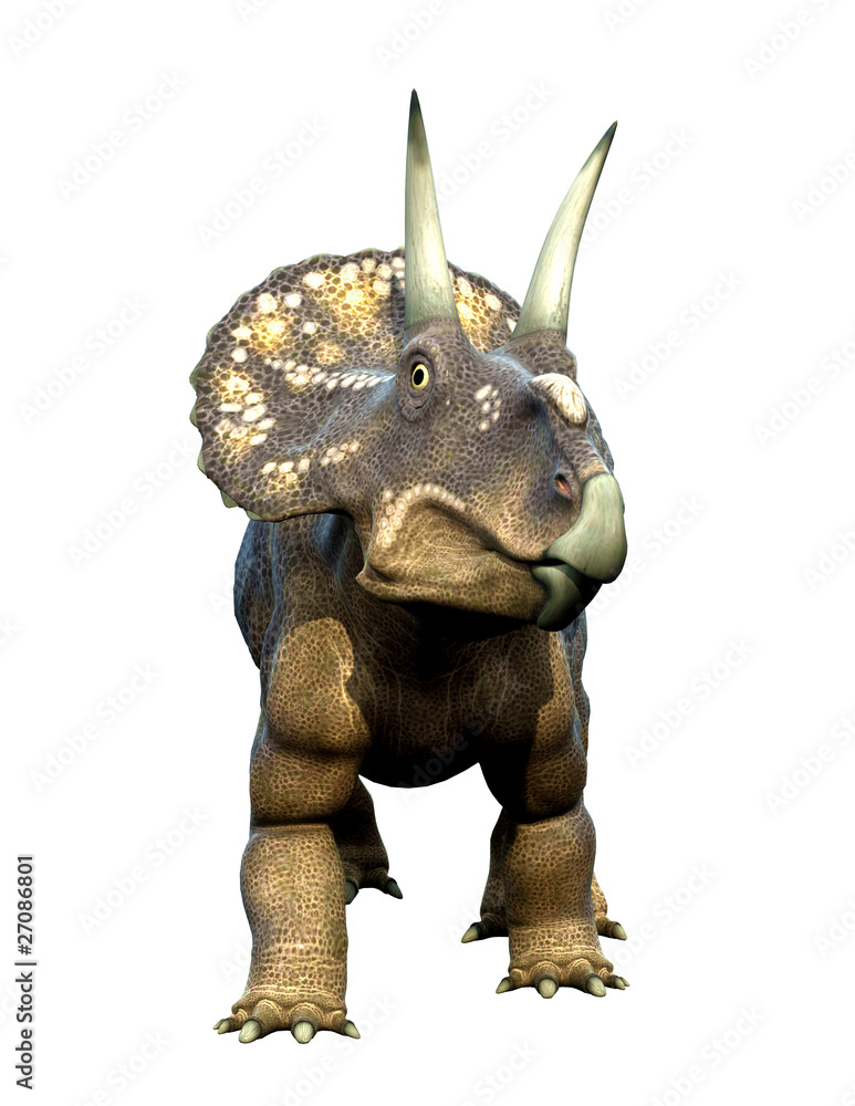 Diceratops