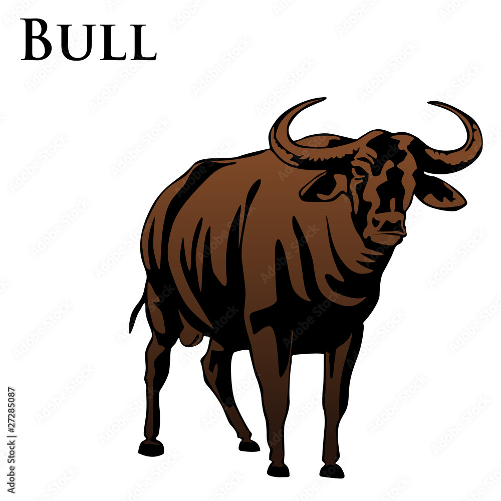 colored indian bull vector illustration Stock Vector | Adobe Stock