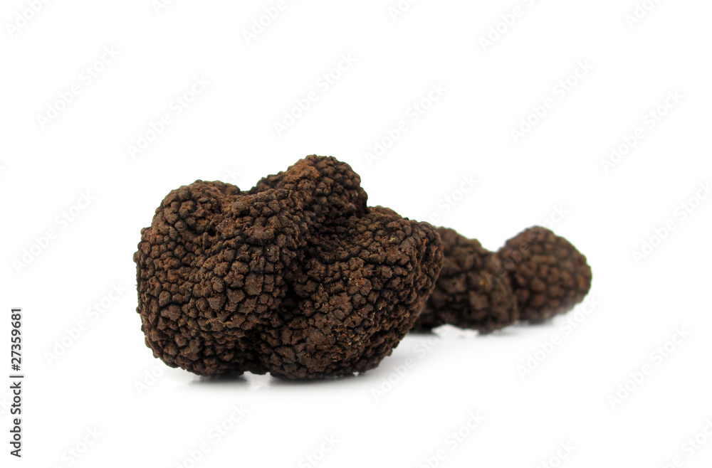 Truffle Tuber melanosporum mushroom Stock Photo | Adobe Stock