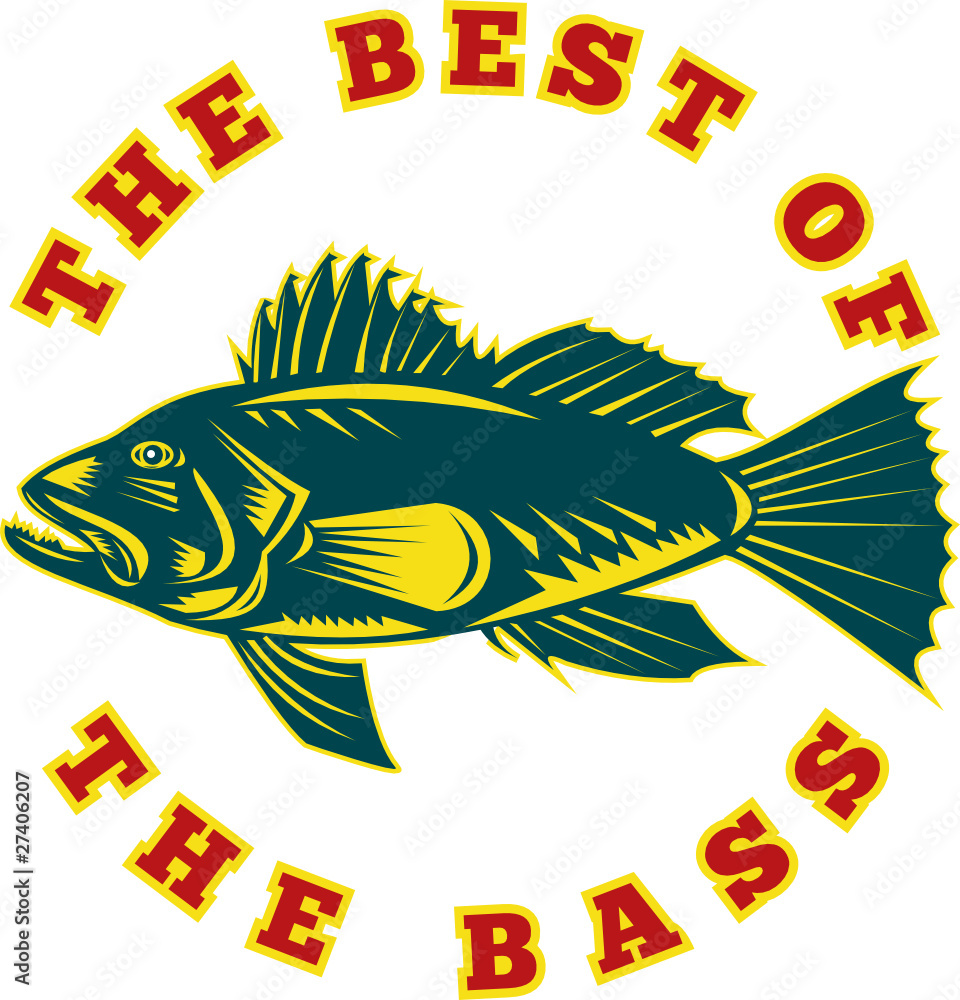 sea bass fish bes tof the bass Stock Vector | Adobe Stock