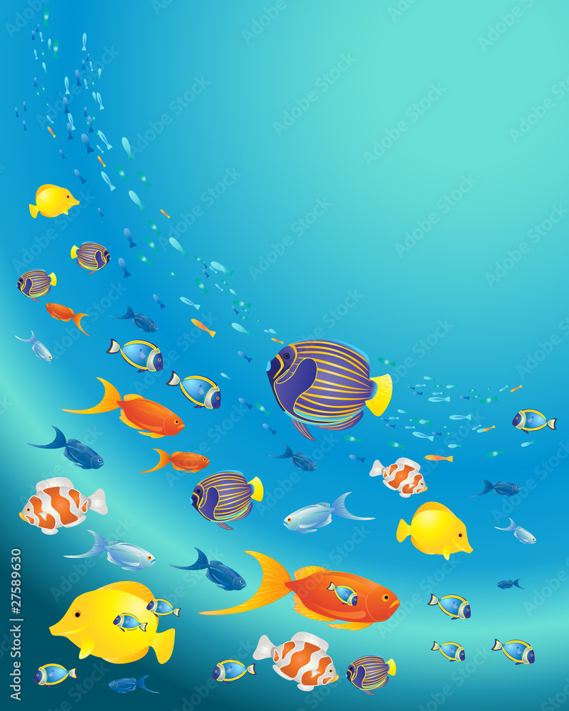 Poster tropical fish – Wall Art | UkPosters