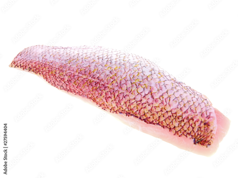 red snapper fish fillet Stock Photo | Adobe Stock