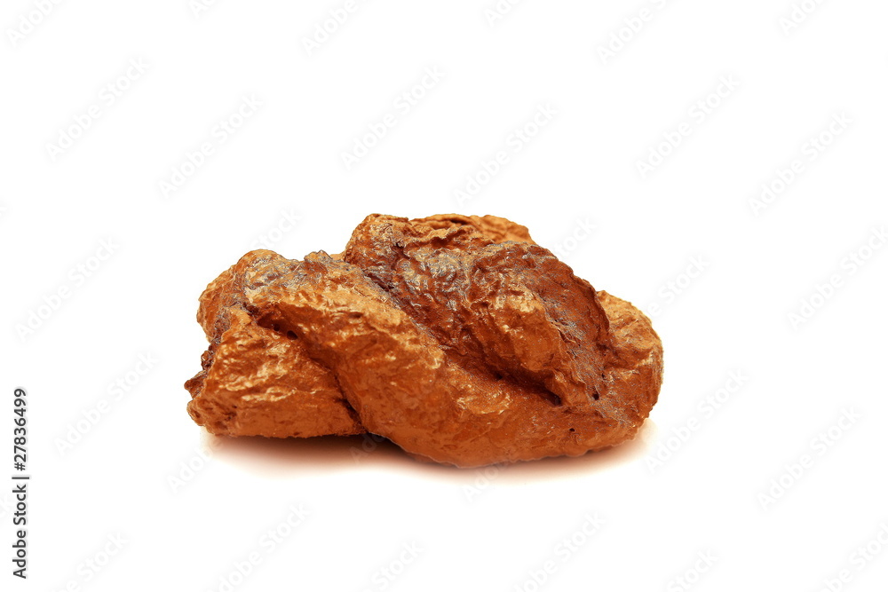 crotte de chien Photos | Adobe Stock