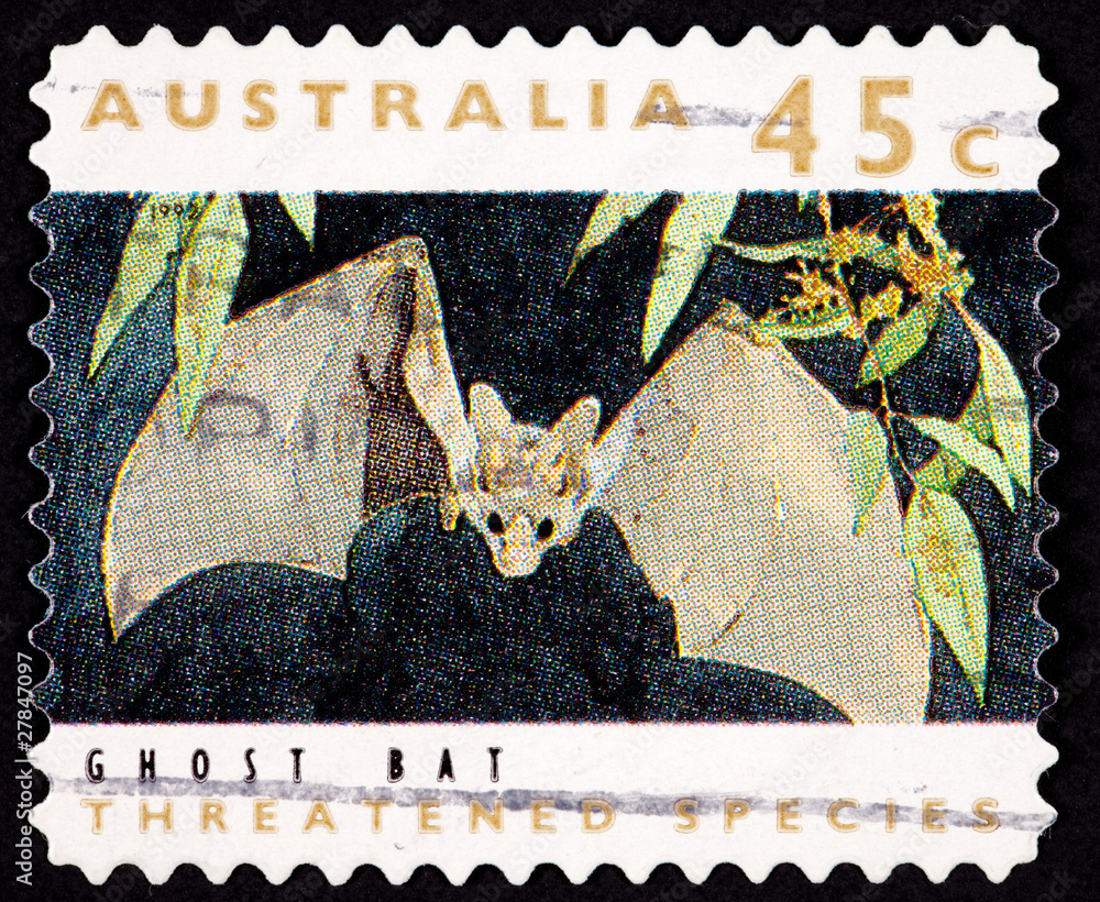 Australian Post Stamp Ghost Bat, Macroderma gigas, False Vampire Stock ...